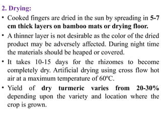 Cultivation Practice of Turmeric in Nepal.pptx