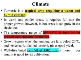 Cultivation Practice of Turmeric in Nepal.pptx