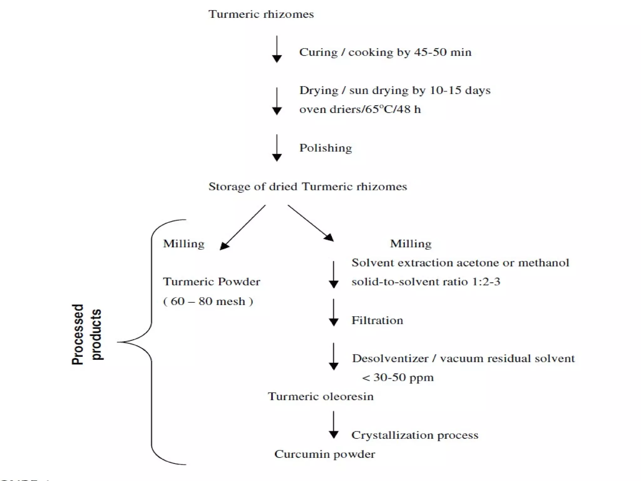 TURMERIC PROCESSING | PPT