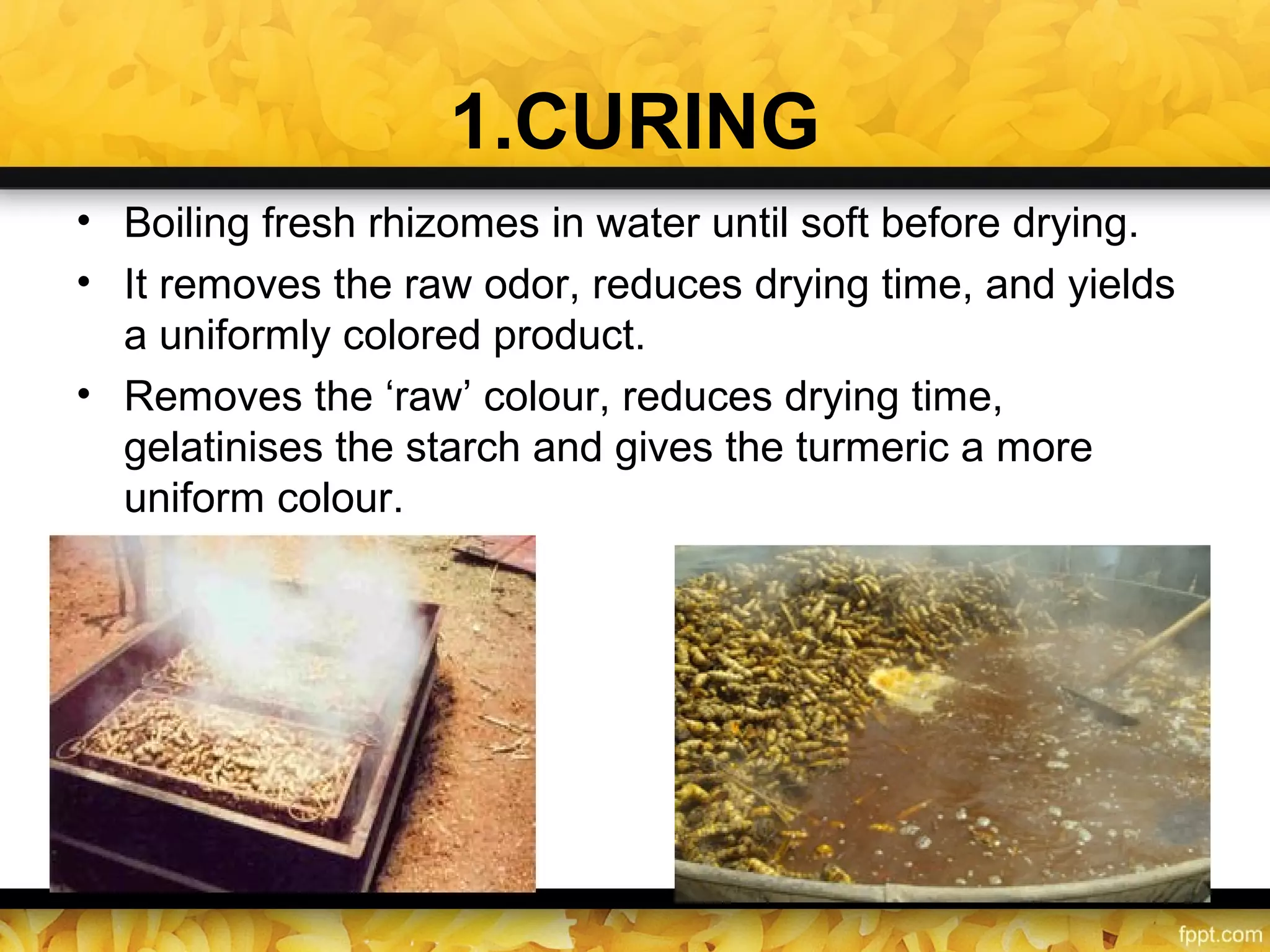 TURMERIC PROCESSING | PPT