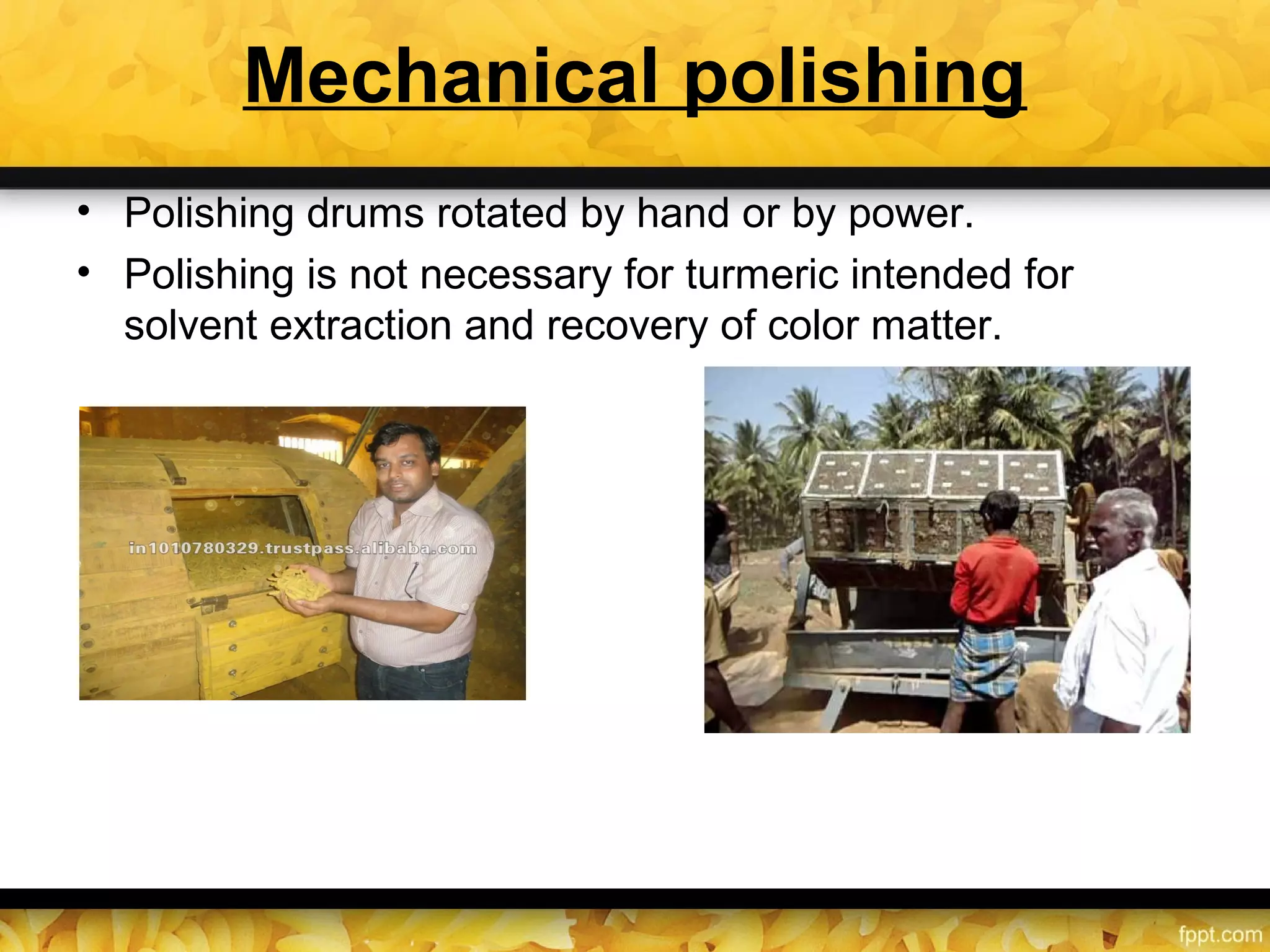 TURMERIC PROCESSING | PPT