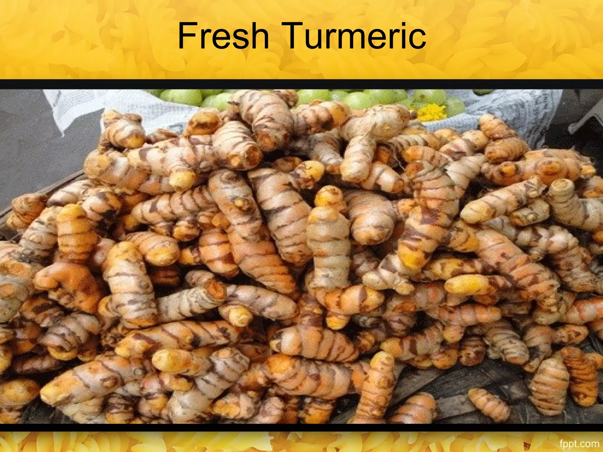 TURMERIC PROCESSING | PPT