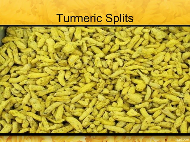 TURMERIC PROCESSING | PPT | Gardening | Home & Garden