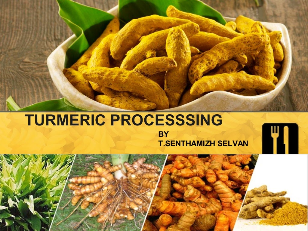 TURMERIC PROCESSING