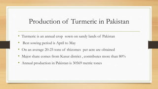 introduction of turmeric the golden spice | PPTX