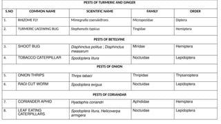 pests of Turmeric & Ginger Pests.pptx