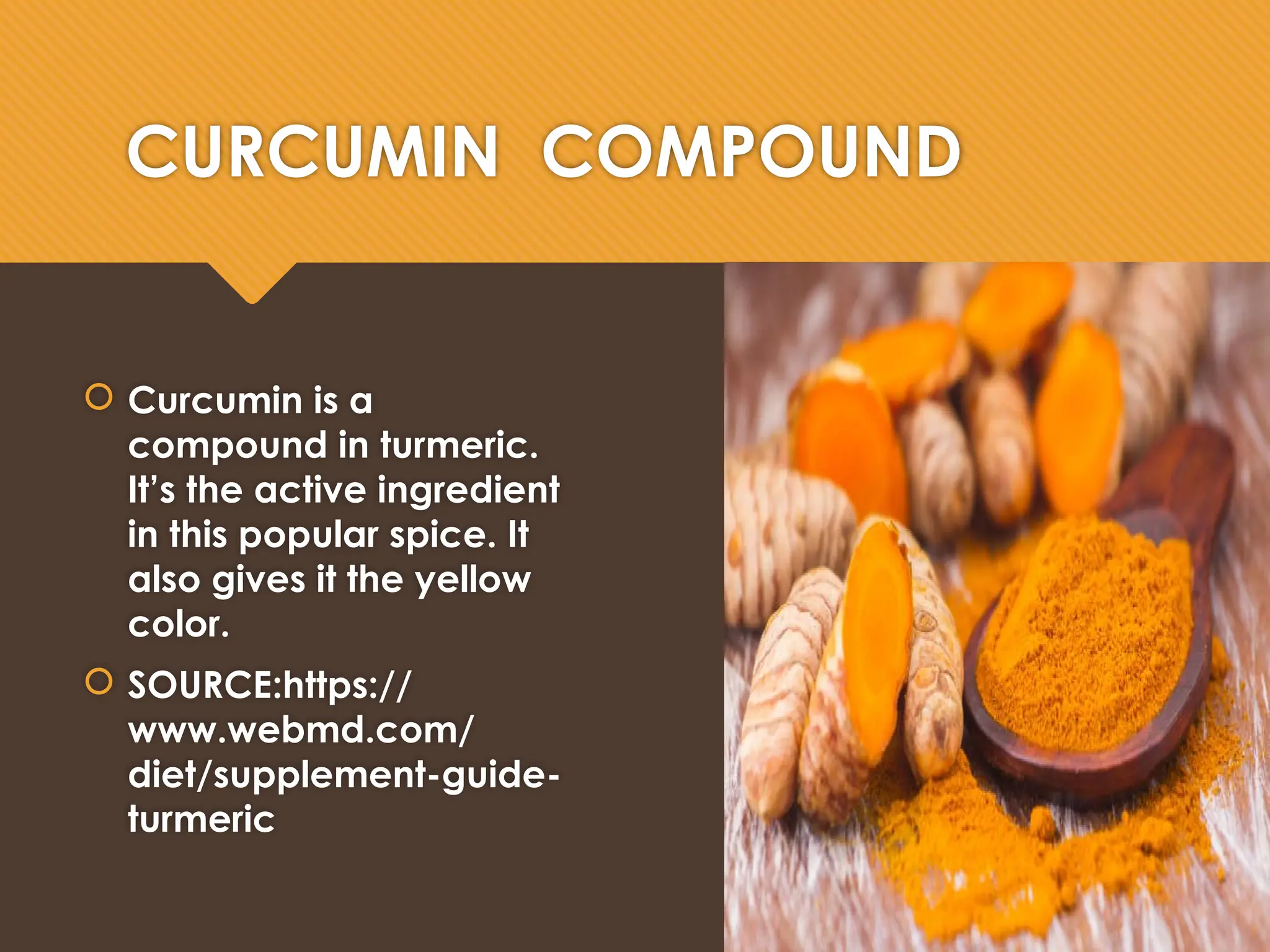 Turmeric Plantation Isabela State University.pptx