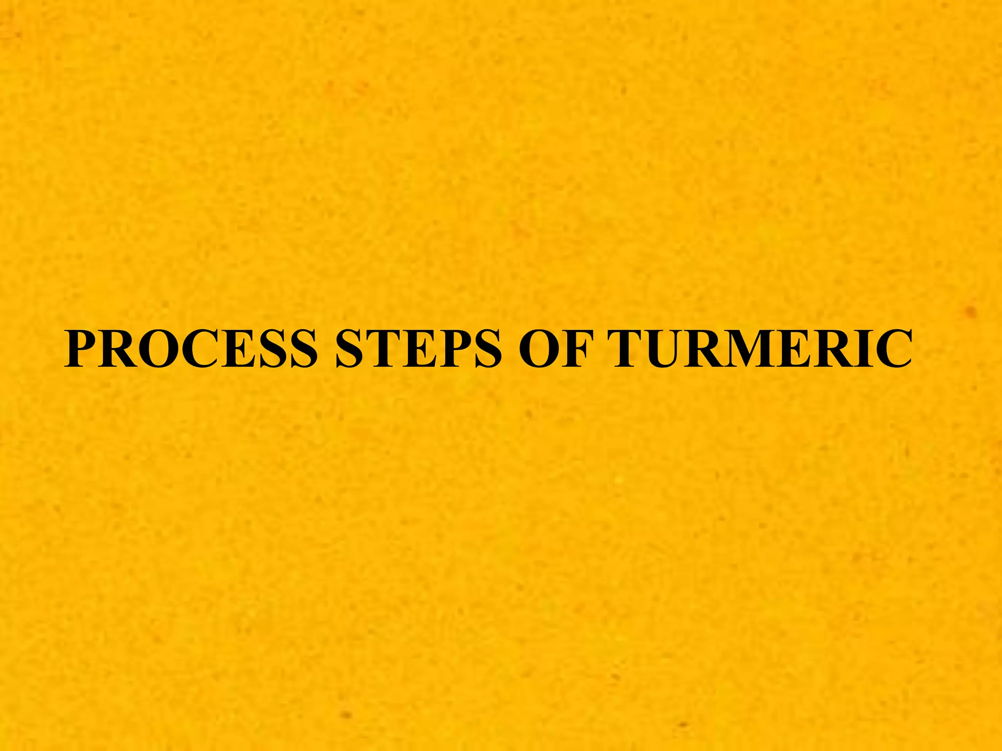TURMERIC PROCESSING | PPTX