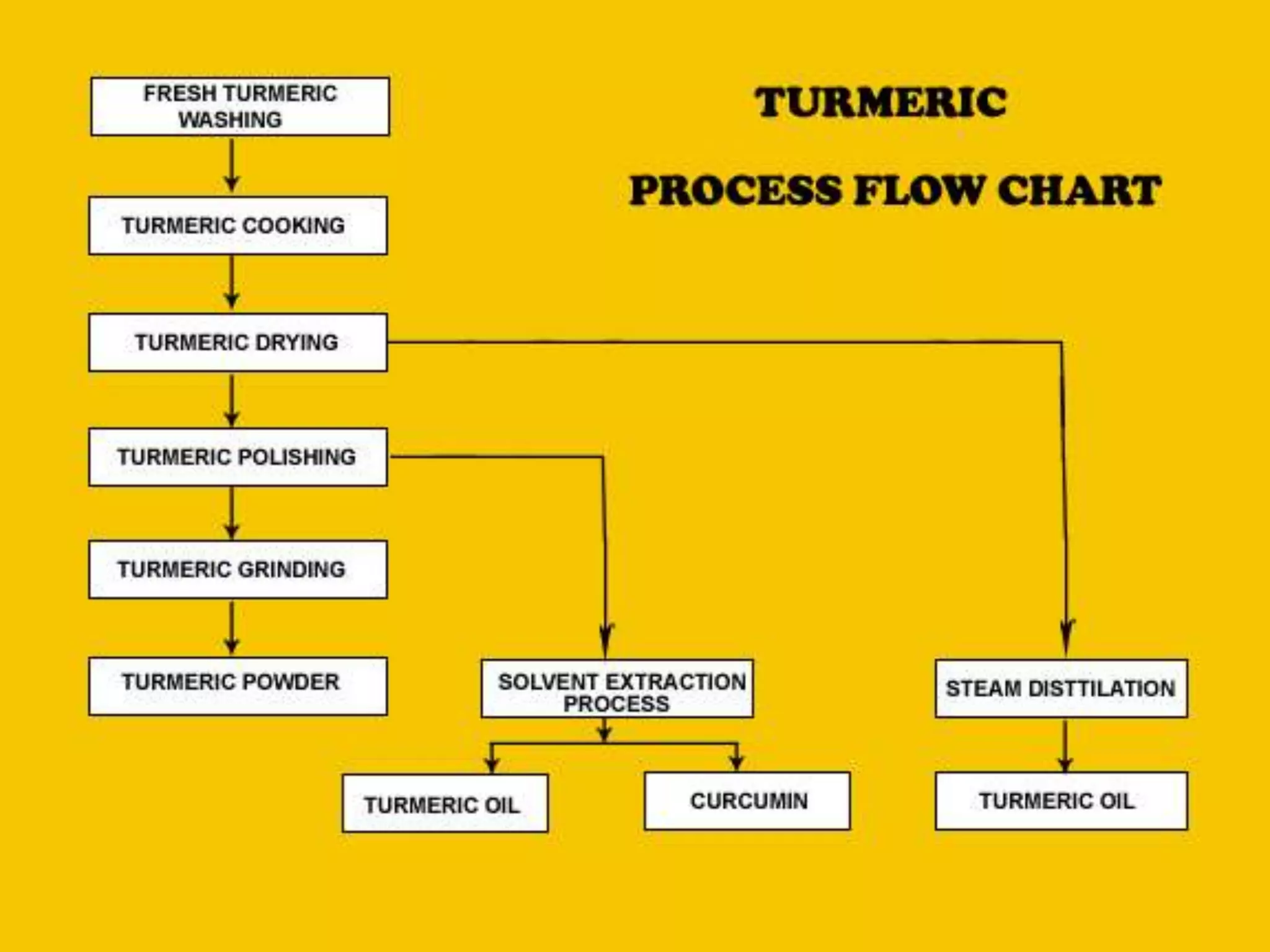 TURMERIC PROCESSING | PPTX