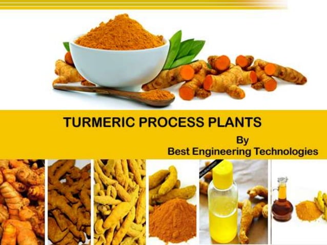 TURMERIC PROCESSING | PPTX | Herbs and Supplements | Alternative Medicine