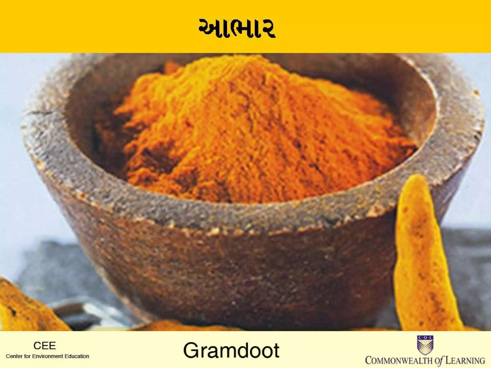 Turmeric powder | PPT