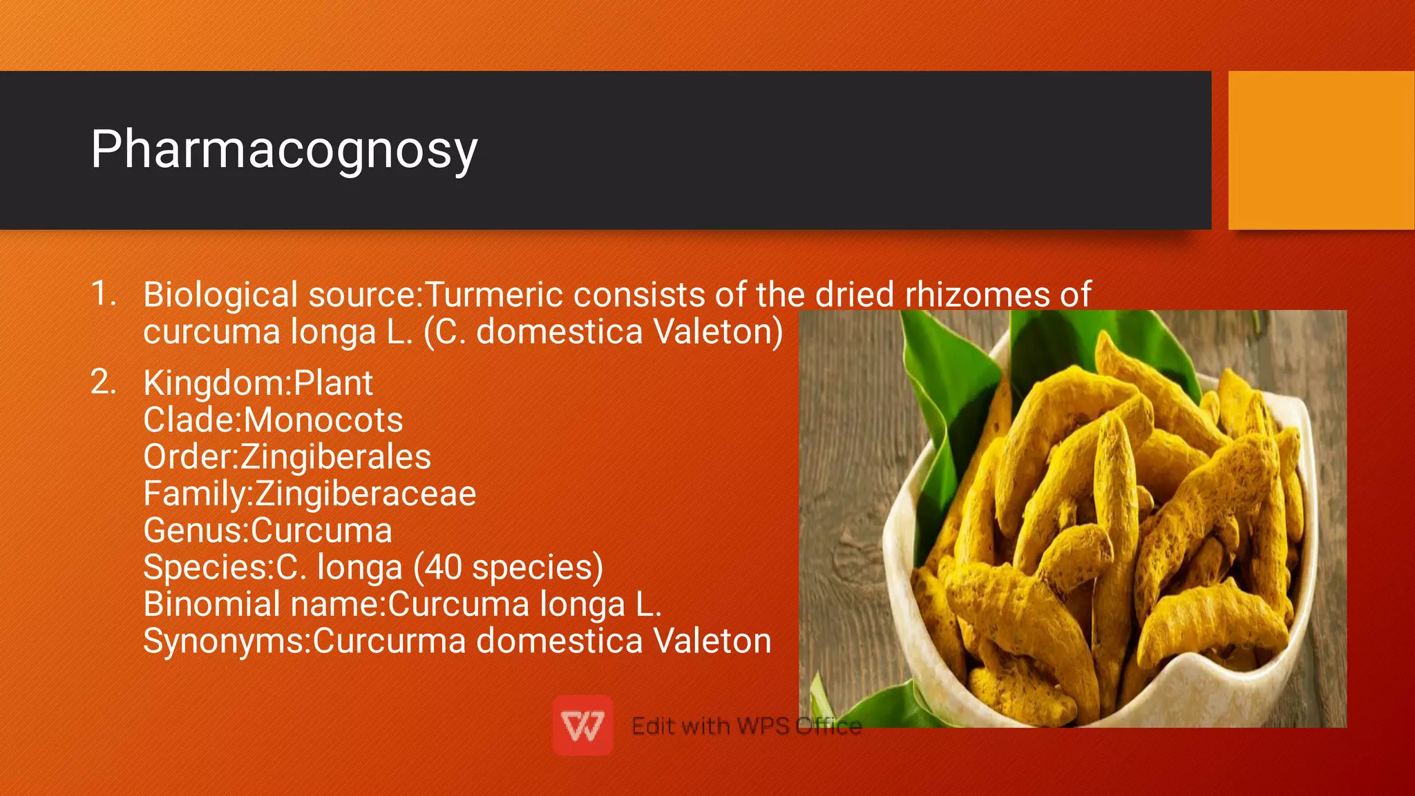 Turmeric presentation | PDF