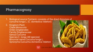 Turmeric presentation | PDF