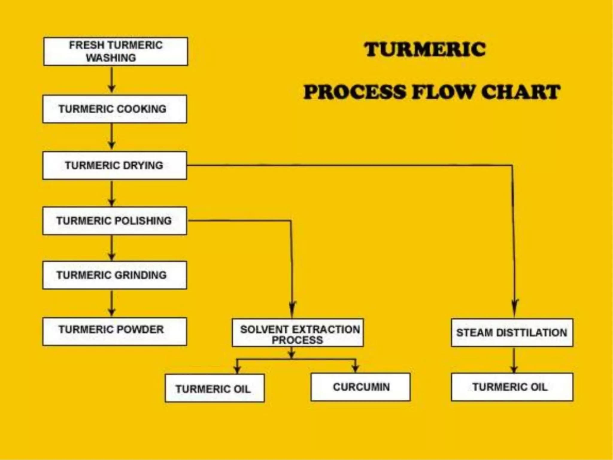 Turmeric Processing | PPTX