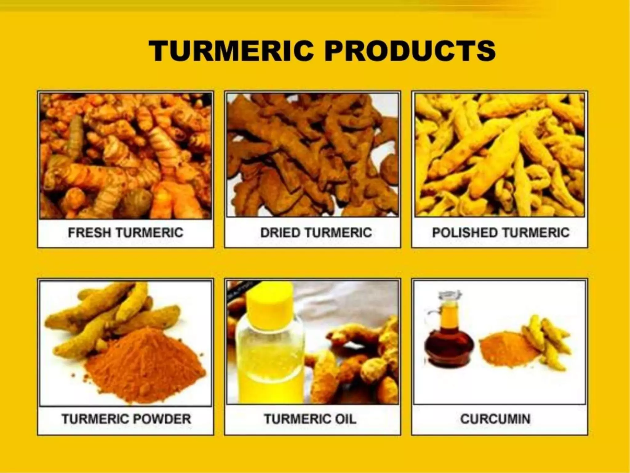 Turmeric Processing | PPTX