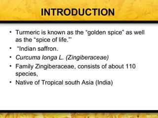 TURMERIC PROCESSING AND ANALYSIS IN INDIA.pptx