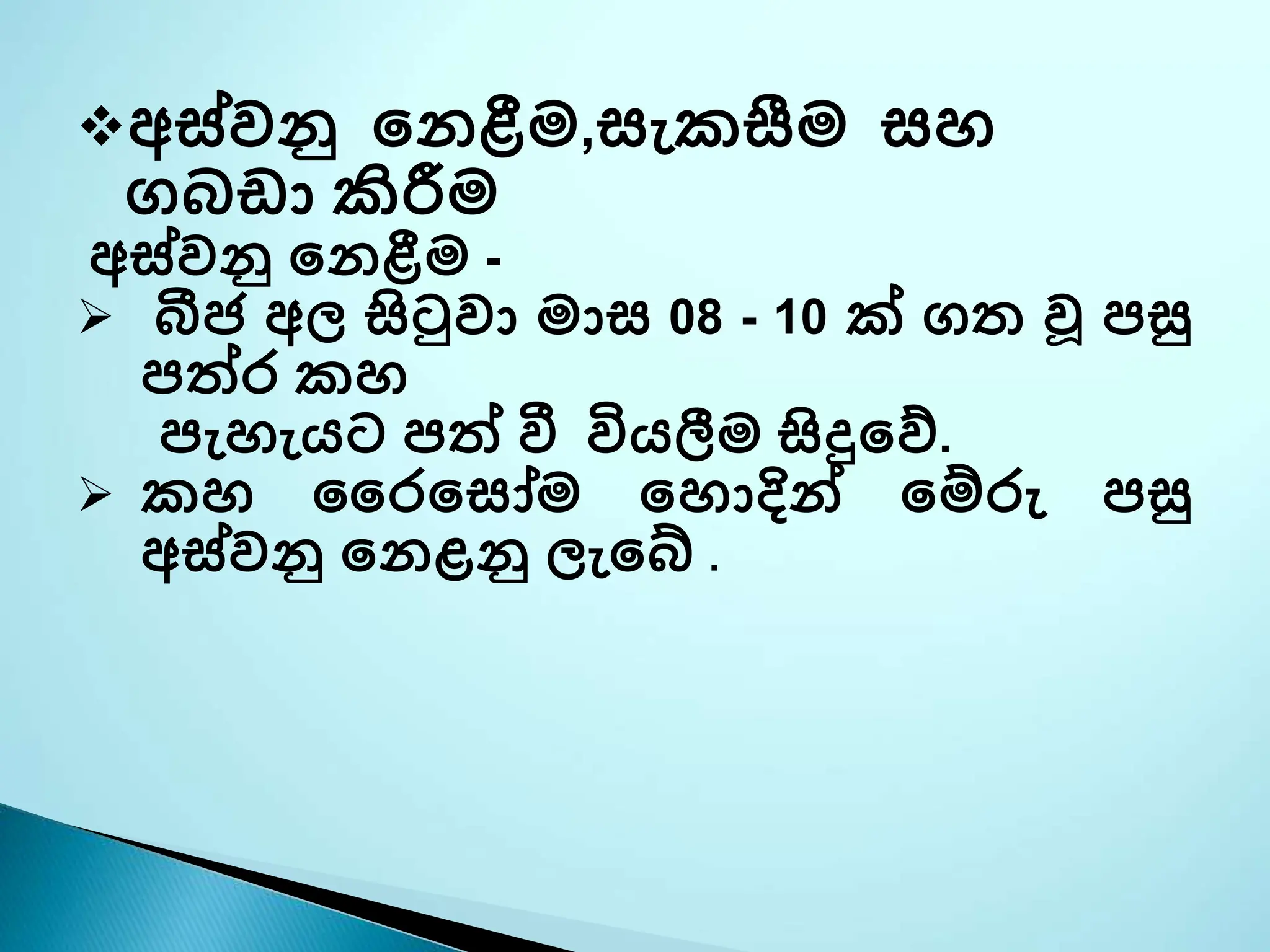 Turmeric (Sinhala)CULTIVATION IN SRI LANKA(1).ppt