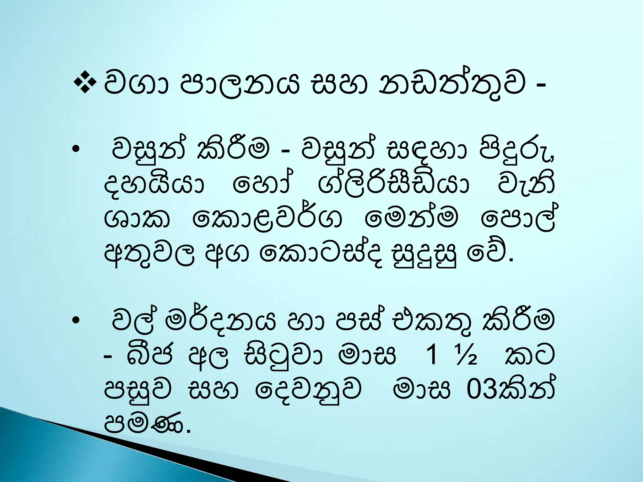 Turmeric (Sinhala)CULTIVATION IN SRI LANKA(1).ppt