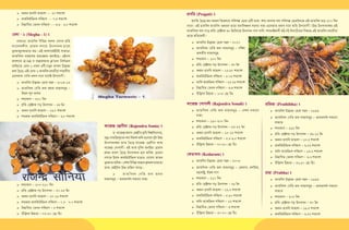 Types of Turmeric Varieties Grown in Assam | PDF