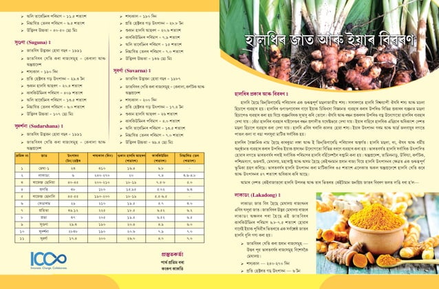 Types of Turmeric Varieties Grown in Assam