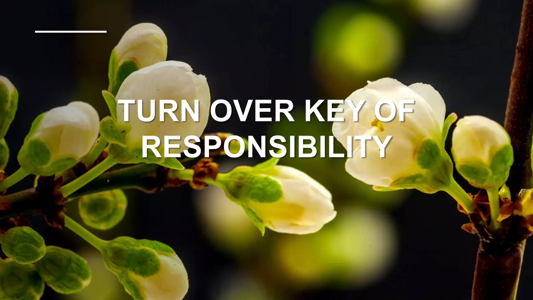 Turn-over & installation ceremony.pptx