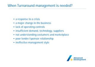 Turnaround Management | PDF