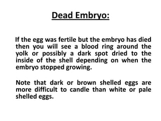 Turning and Candling | PPTX