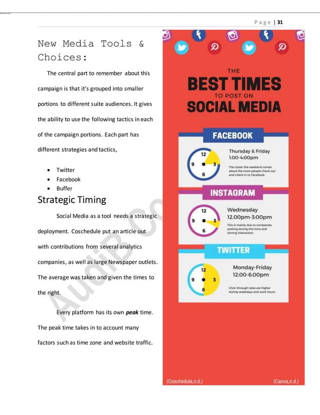 Amazon Mock Campaign Plan | PDF