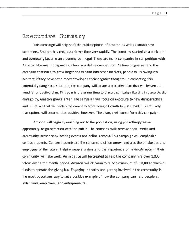 Amazon Mock Campaign Plan | PDF