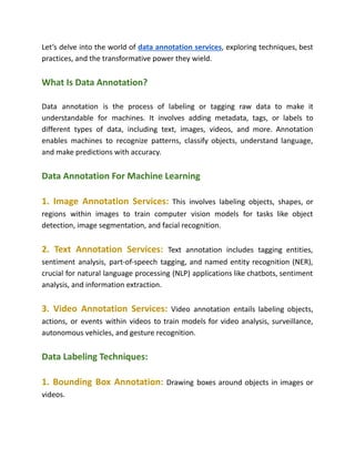 Turning Raw Data Into Actionable Insights With Annotation Services | PDF