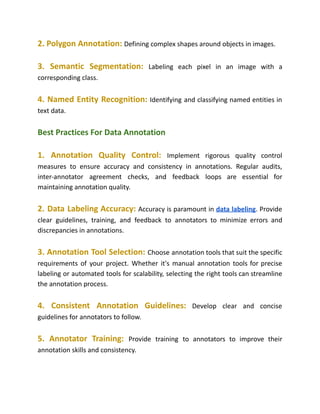 Turning Raw Data Into Actionable Insights With Annotation Services | PDF