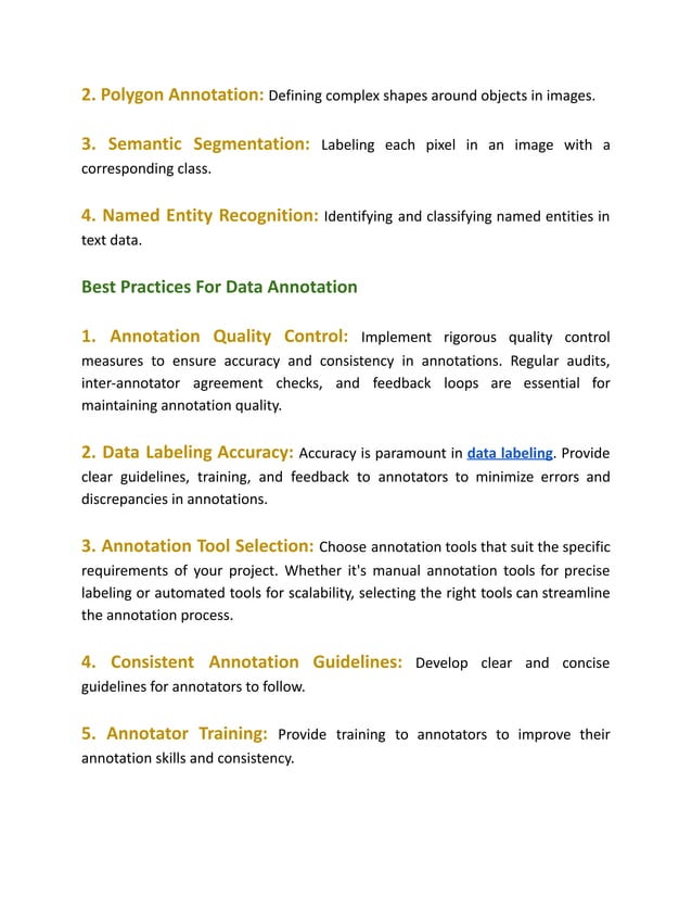 Turning Raw Data Into Actionable Insights With Annotation Services | PDF
