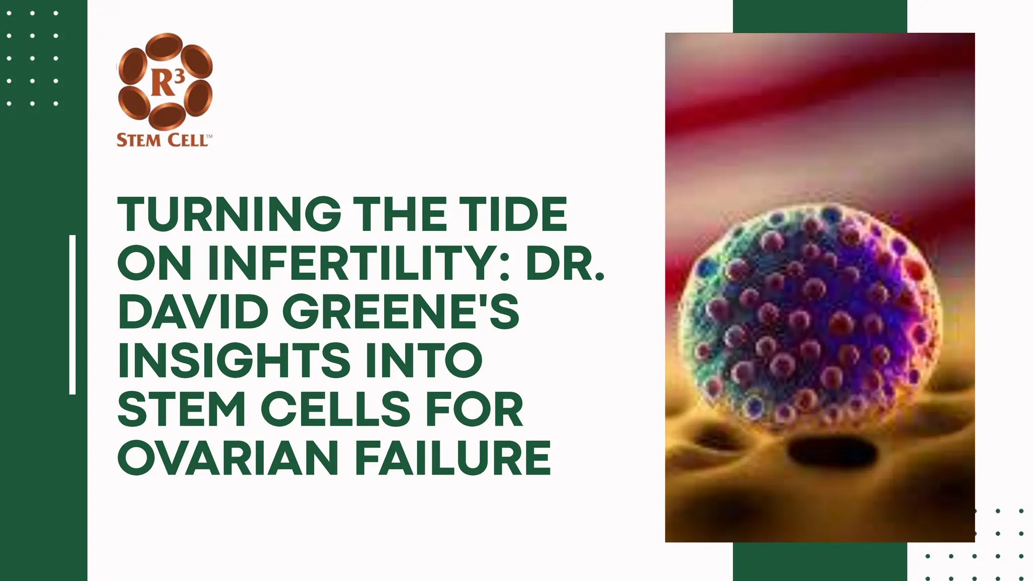 Turning the Tide on Infertility Dr. David Greene's Insights into Stem Cells for Ovarian Failure.pptx
