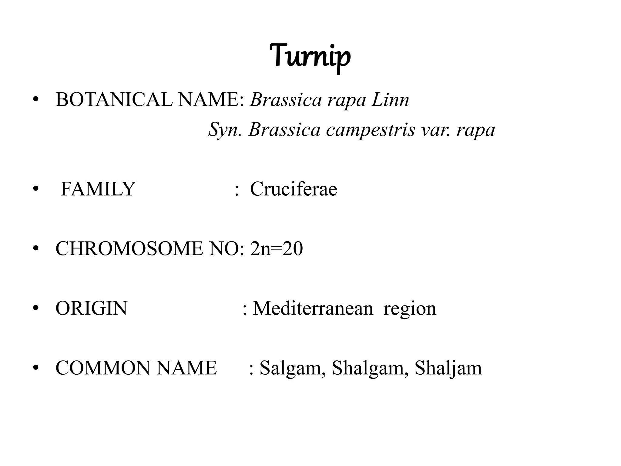 turnip-210917072124.pptx