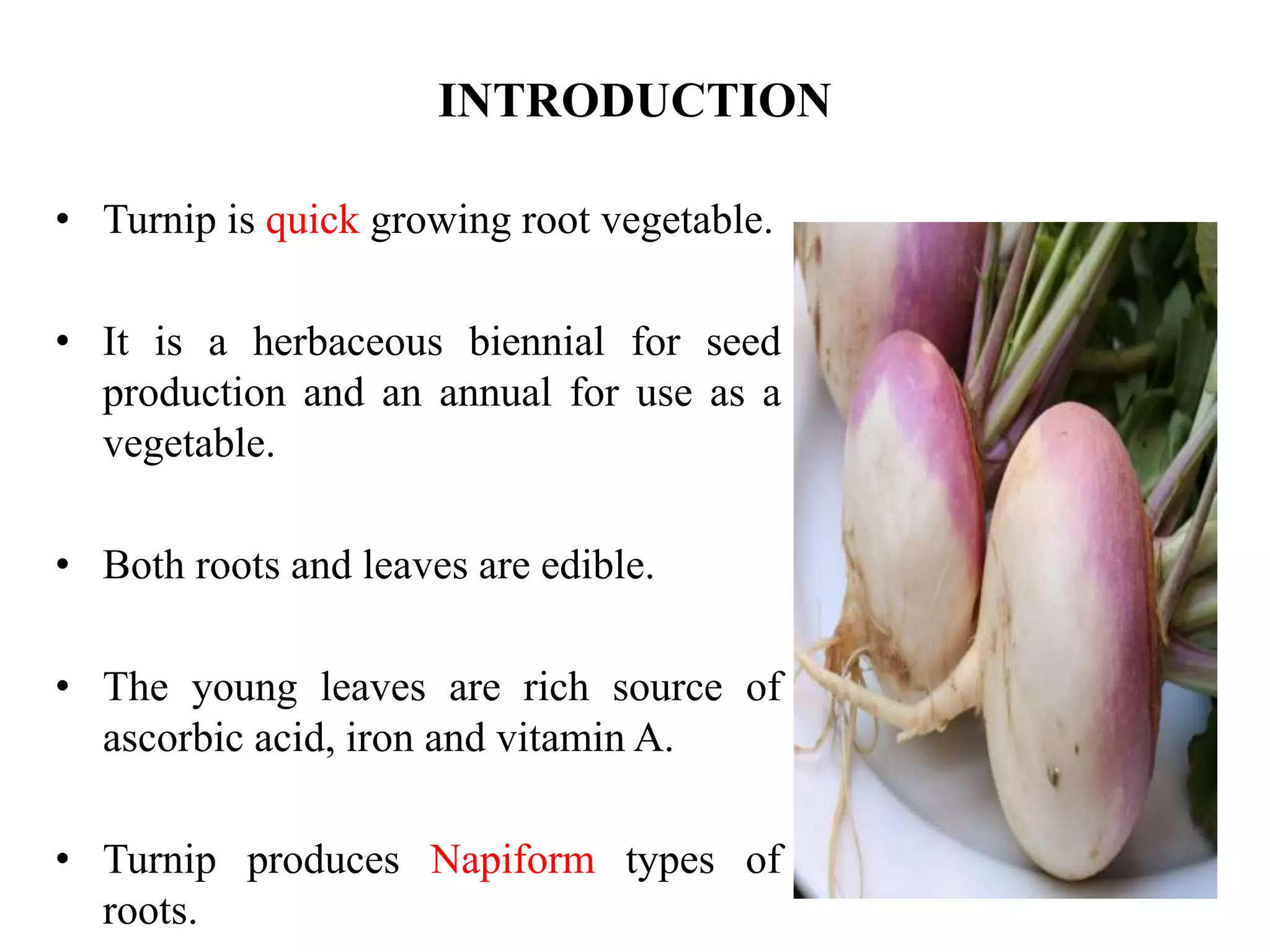 turnip-210917072124.pptx