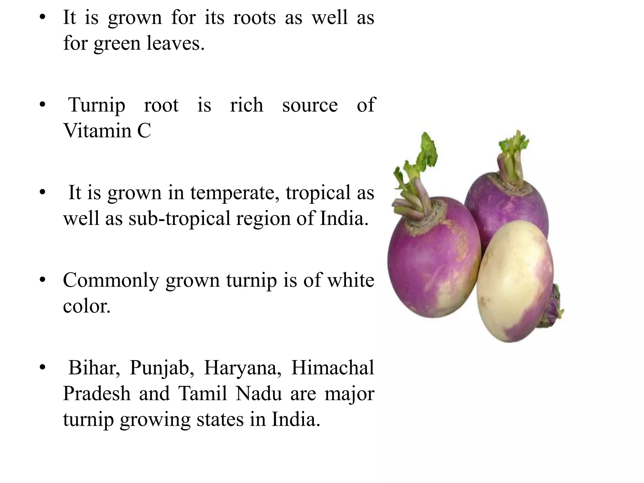 turnip-210917072124.pptx