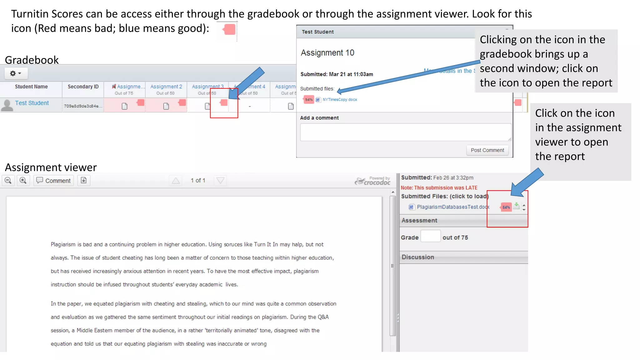 Turnitin in canvas | PPTX | Technology & Computing