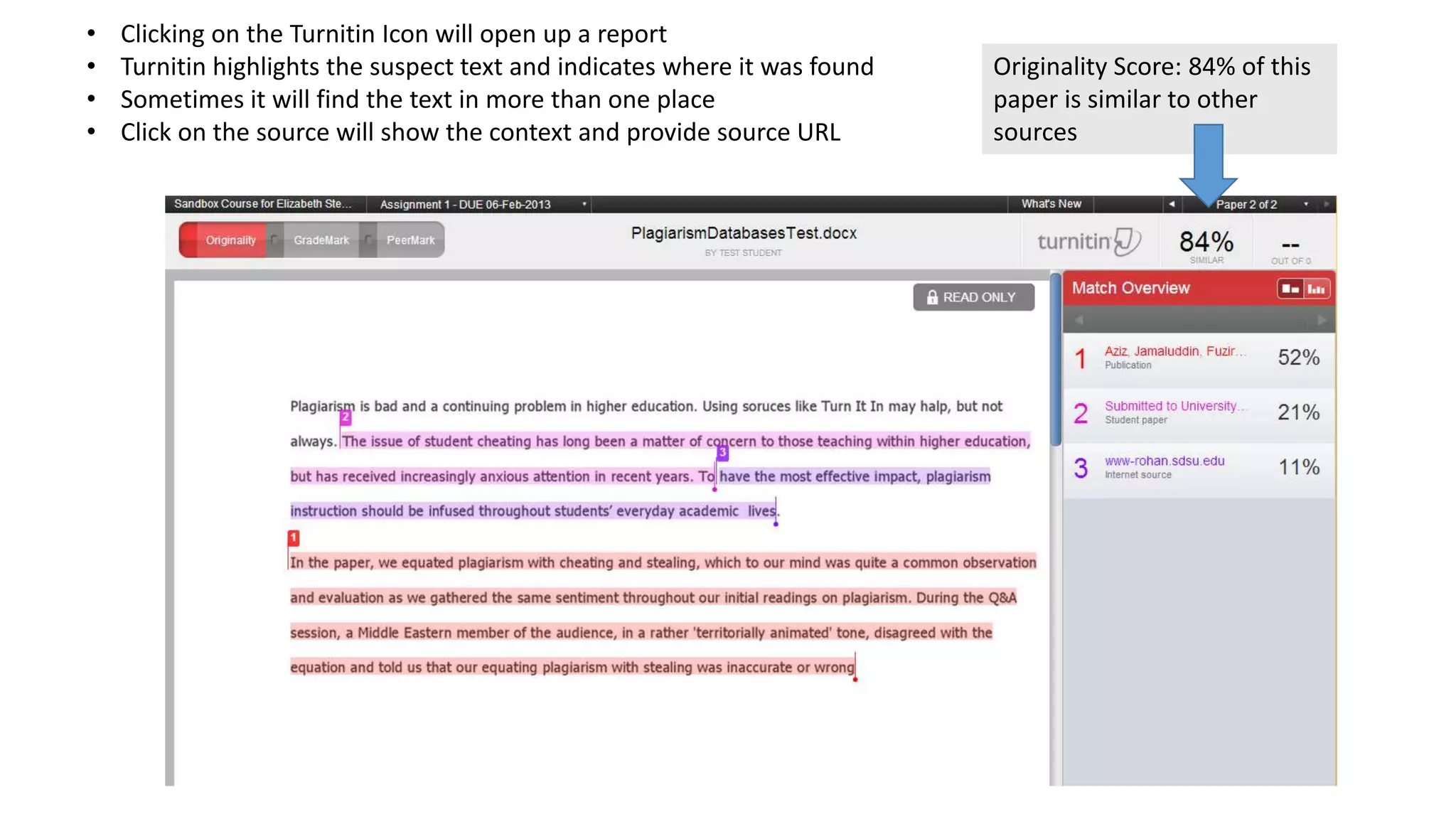 Turnitin in canvas | PPTX | Technology & Computing