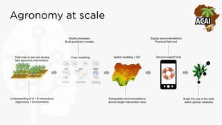 Turnkey solution | PDF | Agriculture | Industries