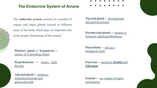 turns avian and livestock2222222(1).pptx