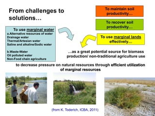 Challenges of land conservation in dry areas –Central Asia and the ...
