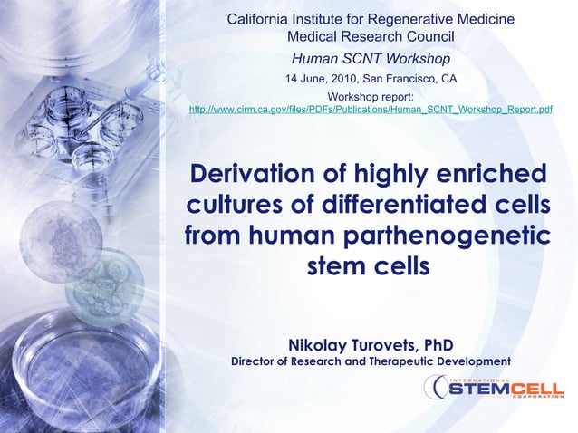 Derivation of highly enriched cultures of differentiated cells from human parthenogenetic stem ...