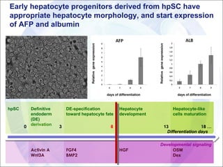 Derivation of highly enriched cultures of differentiated cells from ...