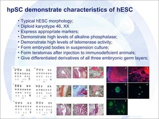 Derivation of highly enriched cultures of differentiated cells from ...