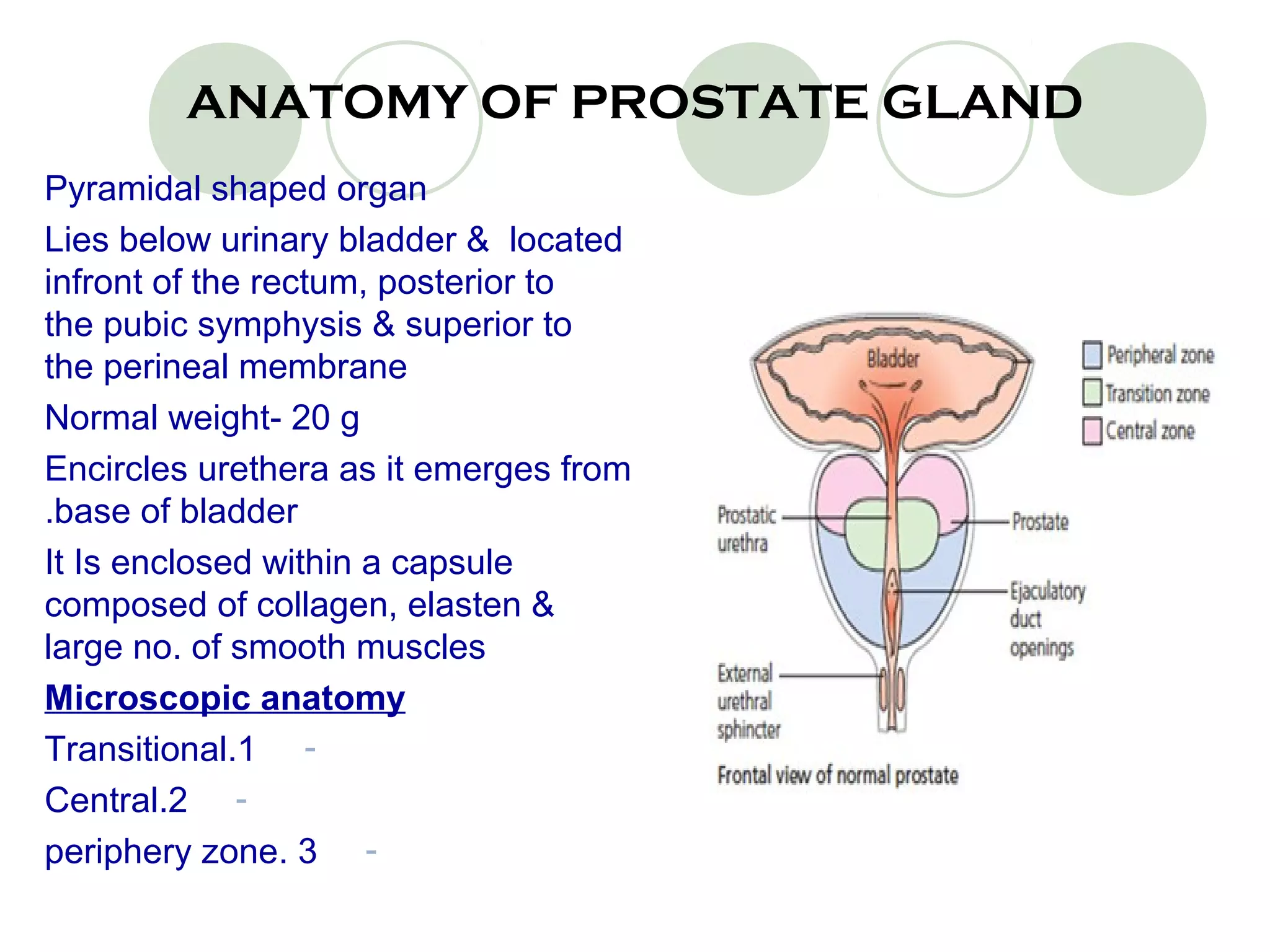 TURP | PPT