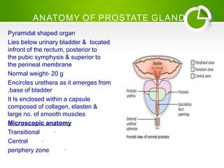 TURP 1-converted PPT FORMAT.pptx