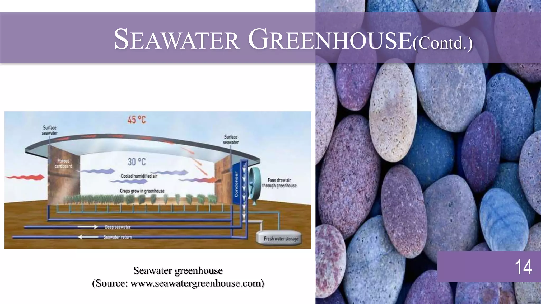 Desalination: Solution to Water Scarcity | PPTX | Environment | Science