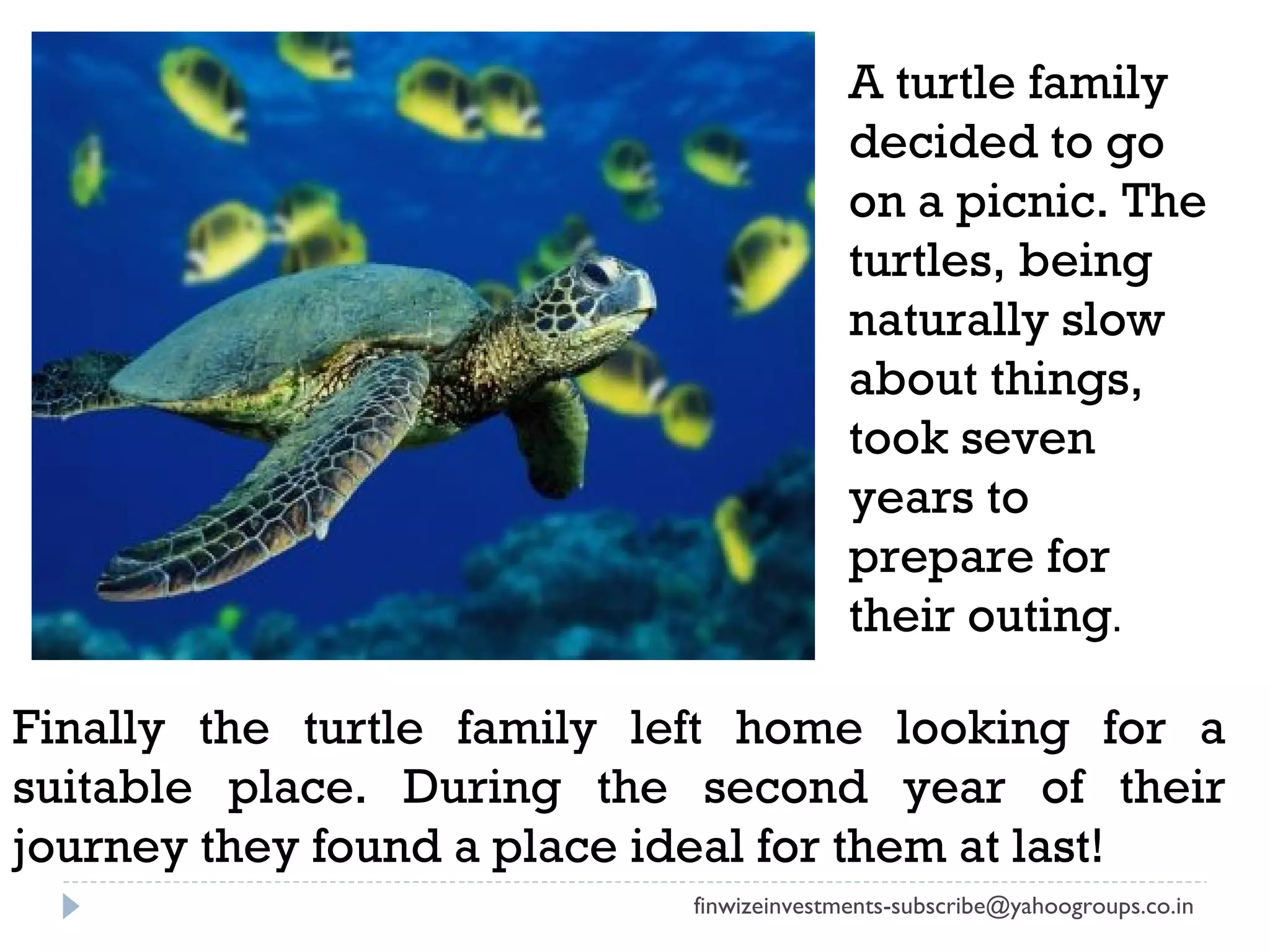 Turtle | PPT | Reptiles | Pets