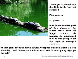 Turtle | PPT | Reptiles | Pets