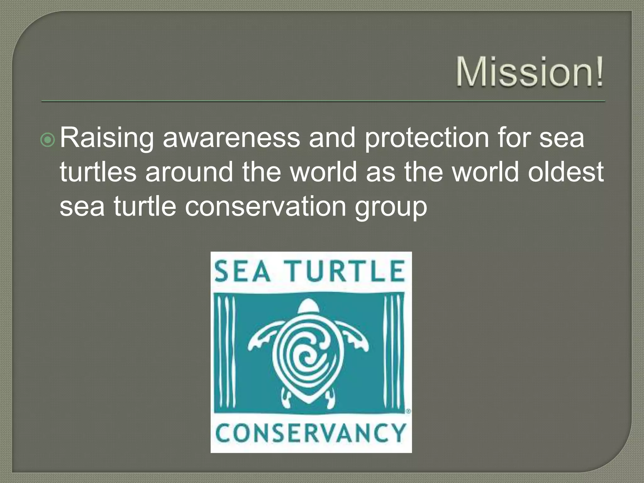 Sea Turtle Conservancy | PPT